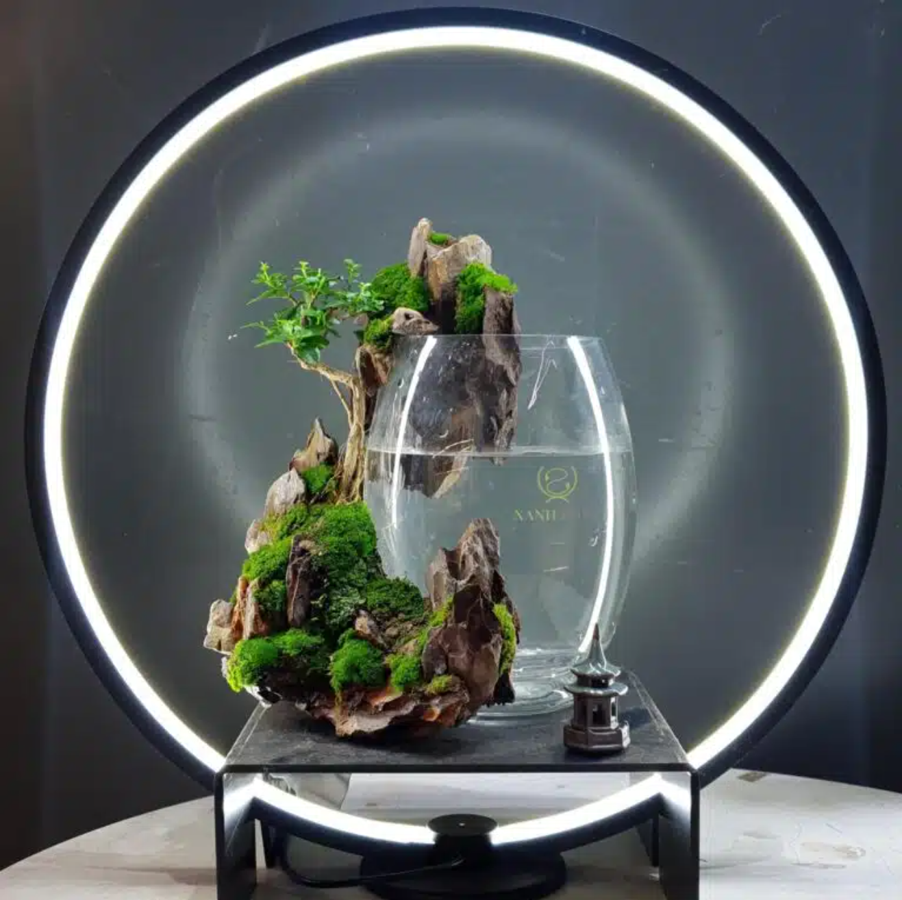 Best idea for make betta fish tank - nicebettathailand.com