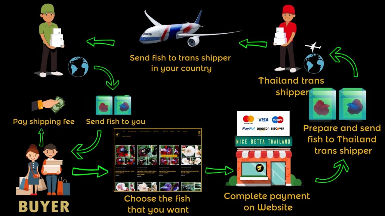 Shipping - nicebettathailand.com